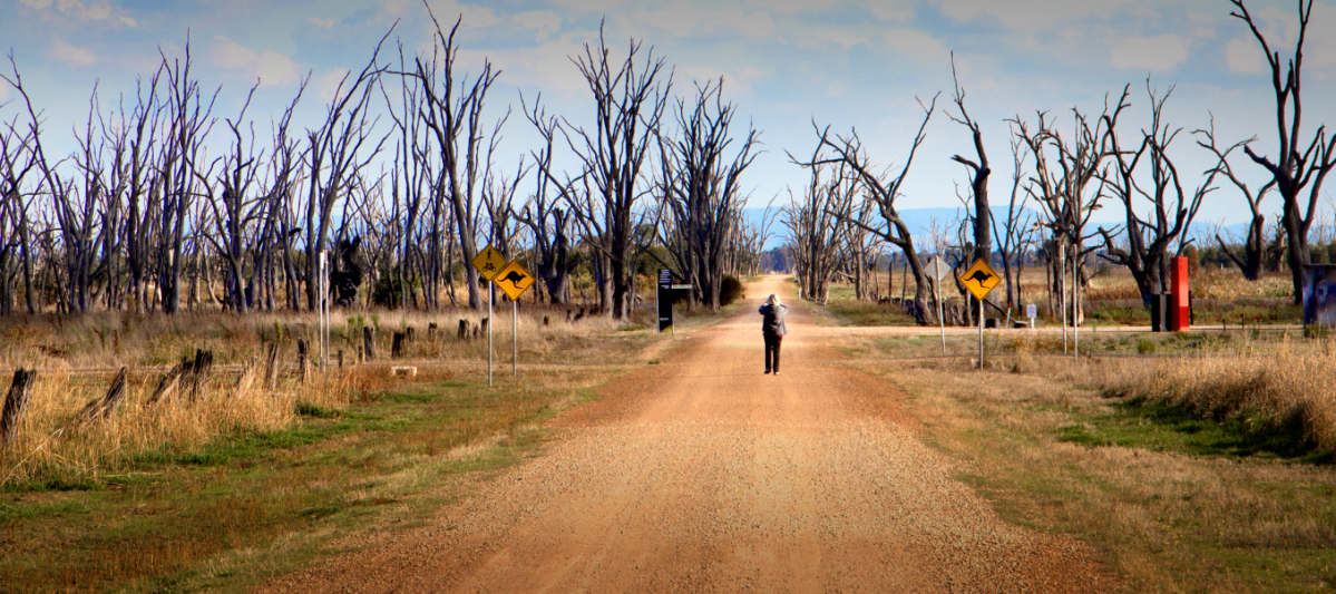 IN THE WETLANDS: 3 Artists – Cooper + Hollins + Spowart collaborate ...